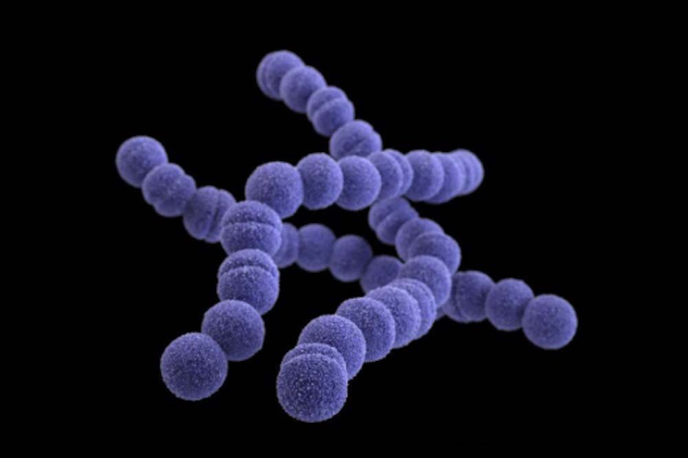 'Unprecedented' uptick in invasive group A strep infections | MUSC ... 'Unprecedented' uptick in invasive group A strep infections | MUSC ...